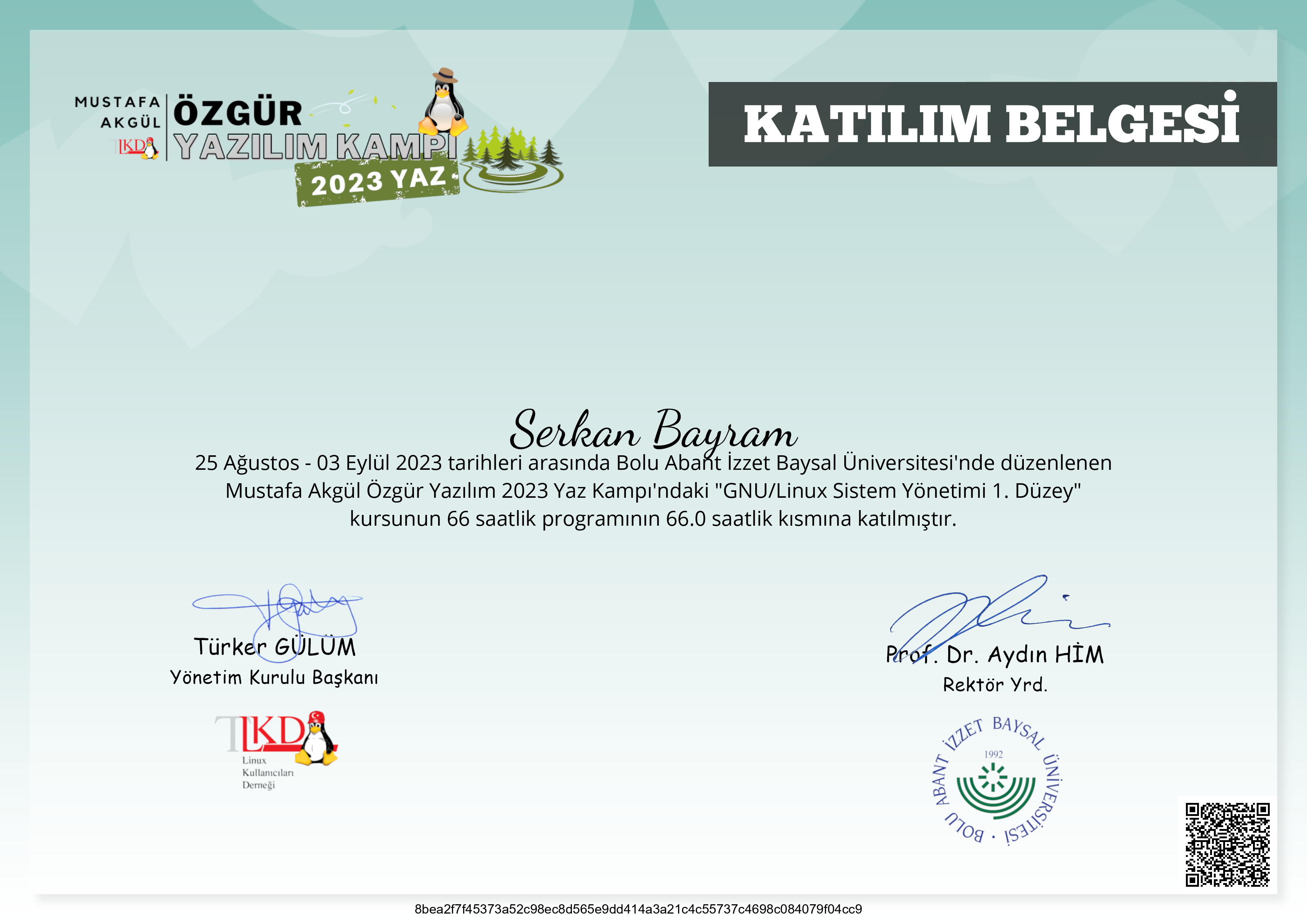 Serkan Bayram - Web Developer | LinkedIn