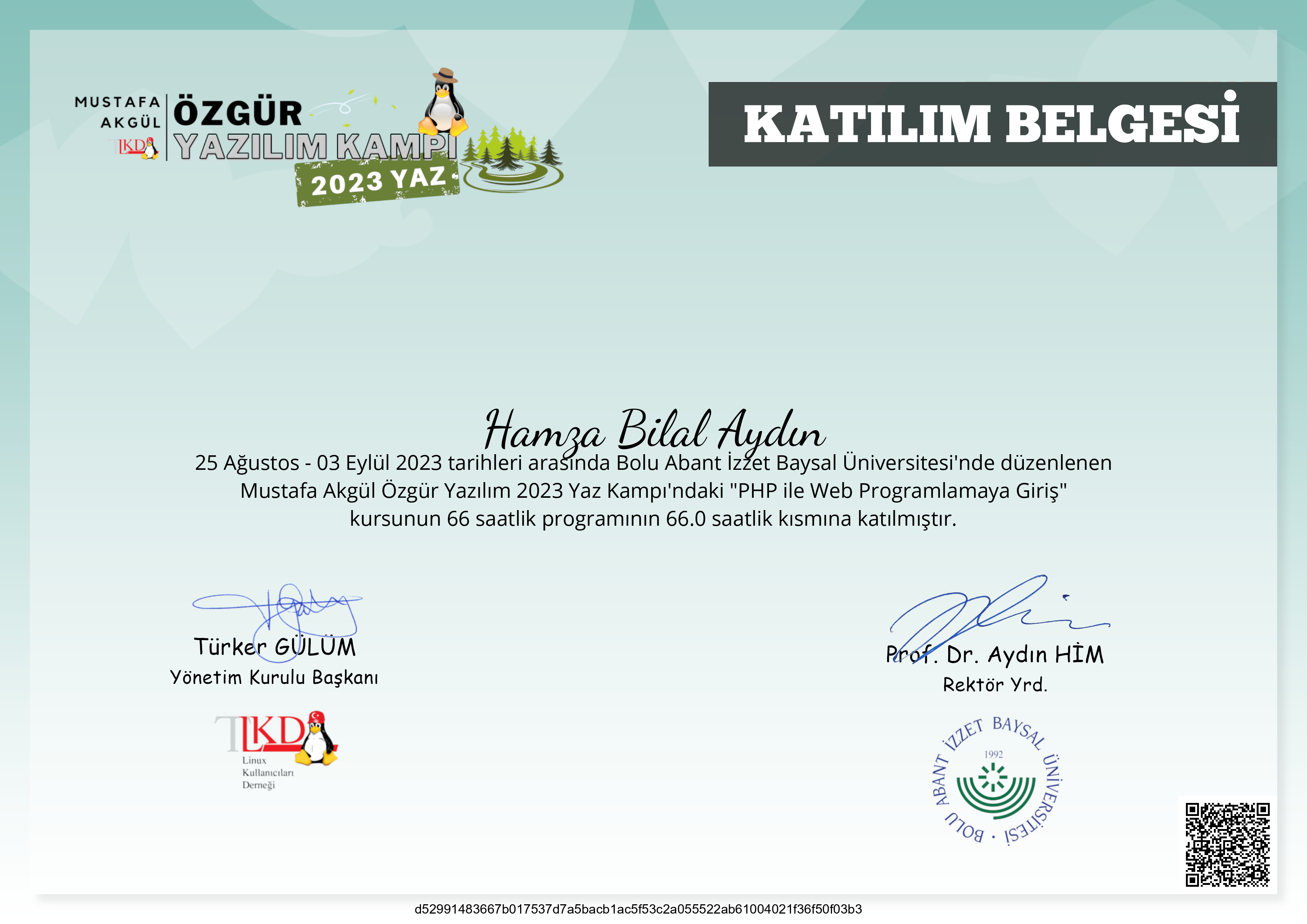 Hamza Bilal Aydin - Full-stack Developer | LinkedIn